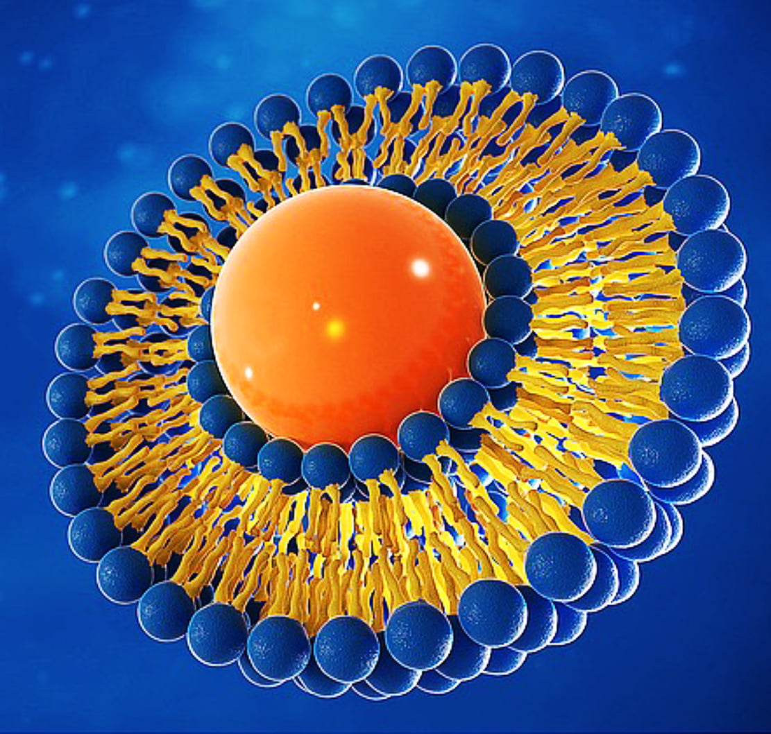 Finlipro, topical Liposomal Finasteride for Fuller Hair